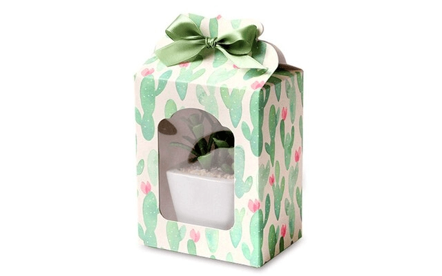 14 Folding Carton Designs that You Should Try - Packoi