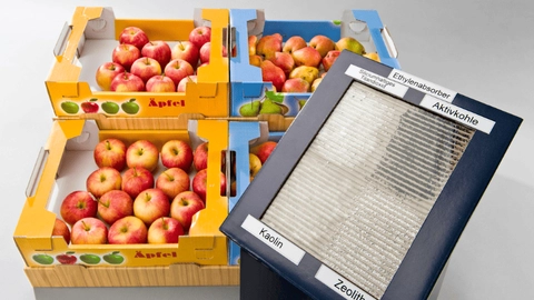 13 Common Types of Food Packaging for Your Brand - Packoi