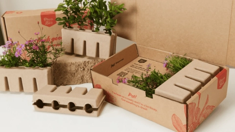 How to Pack and Ship Plants Safely: The Ultimate Guide - Packoi