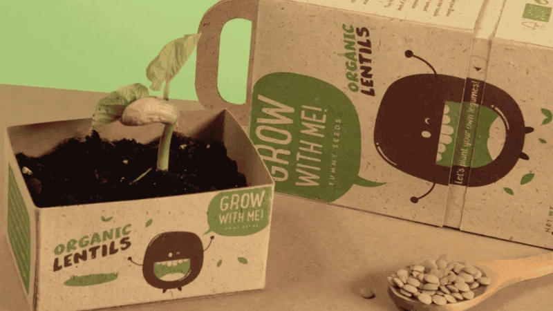 23 Eco-Friendly Packaging Examples to Enhance Your Brand - Packoi