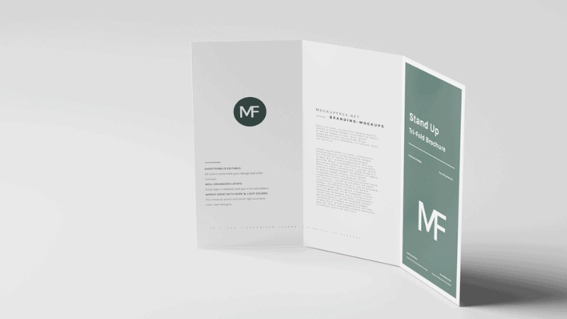 What Is a Tri-Fold Brochure? A Completed Guide - Packoi